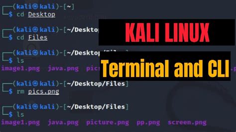 Kali Linux Basicterminal And Cli Linux Basic Commandlinux