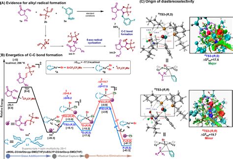 Stereoselective Fe Catalyzed Decoupled Cross Couplings Chiral Vinyl