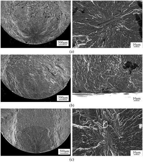 Sem Micrographs Of Crack Initiation Site Of Specimens A Download Scientific Diagram