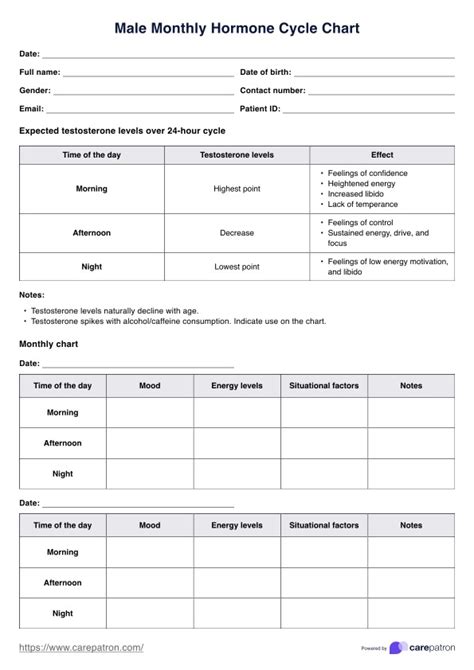 Male Monthly Hormone Cycle