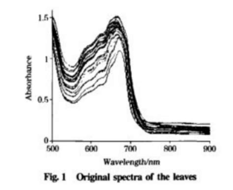 Research On Non Destructive Detection Method Of Plant Chlorophyll