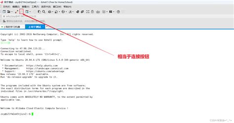 初始Linux基础命令
