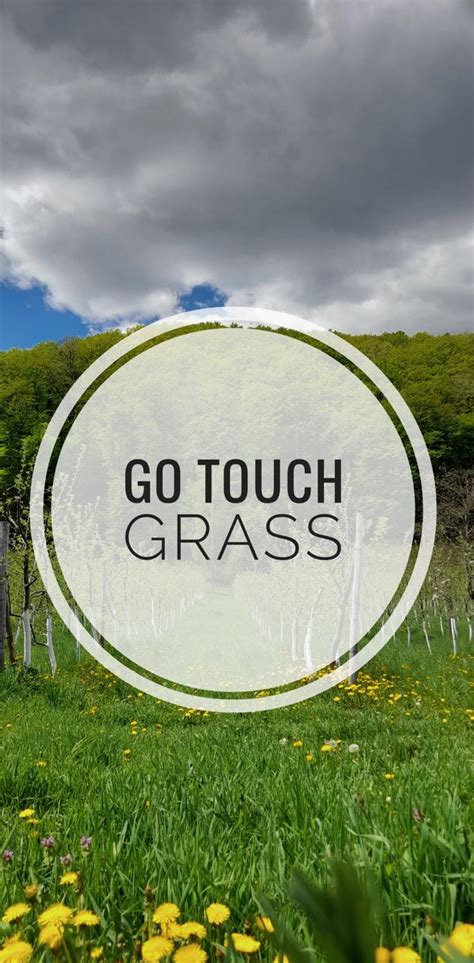 Touch Grass Wallpapers Wallpaper Cave