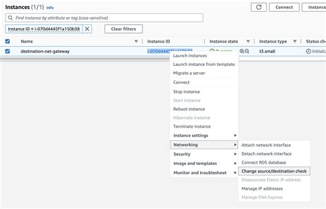 aws virtual gateway installation destination nat mode