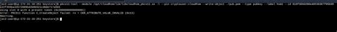 Unable To Import Externally Generated Public Key To Aws Cloudhsm