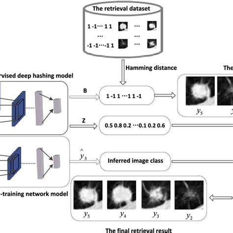 Proposed Medical Image Retrieval The Binary Codes For Both Query And