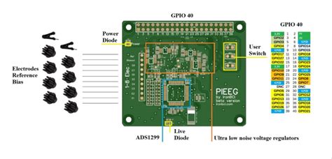 PiEEG El Dispositivo Que Conecta Tu Cerebro A Una Computadora Usando Una Raspberry Pi