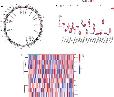 Figure 2 From Characterization Of Immune Microenvironment Infiltration And M6a Regulator