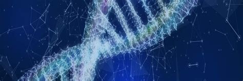 High Throughput Dna Quantification For Next Generation Sequencing On The Victor Nivo Revvity