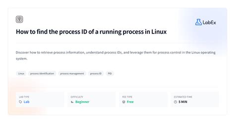 How To Find The Process Id Of A Running Process In Linux Labex