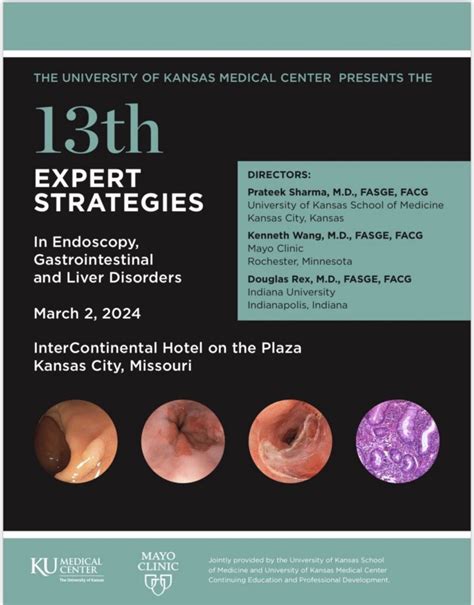 Endorotor Endoscopy Complexresections Necrosectomy Kumed Lauren