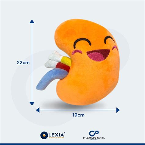 Renalin Dr Carlos Parra