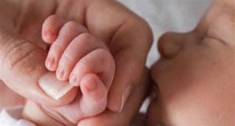 Training And Assesment For Ncii Certificate Non Holders