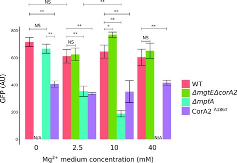 Internal Free Magnesium Concentration Is Affected In Magnesium Download Scientific Diagram