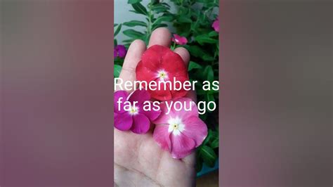 24 October 2024 Youtube