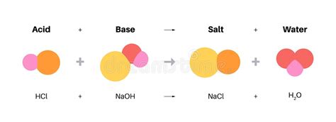 Base Neutralization Stock Illustrations 34 Base Neutralization Stock