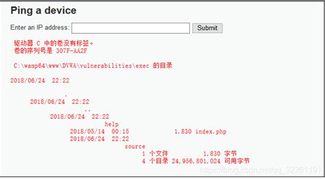 常见的web漏洞——命令注入 Csdn博客