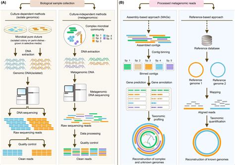 A Review Of Computational Tools For Generating Metagenome Assembled Genomes From Metagenomic