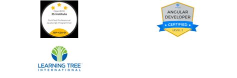 Top 20 Angular Development Companies Oct 2025 Rankings Designrush