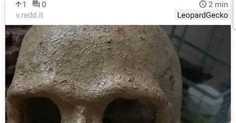 when you don t scroll up all the way album on imgur