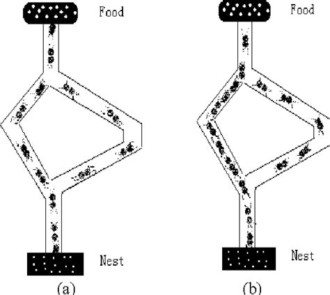 Figure 1 From Improved Image Thresholding Using Ant Colony Optimization