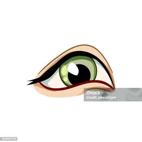 Ilustrasi Vektor Kartun Mata Optik Ilustrasi Stok Unduh Gambar