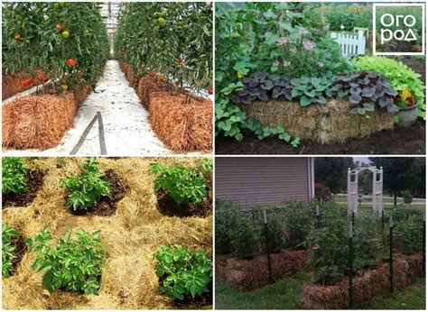 З чого зробити високі грядки 10 варіантів Ідеї декору