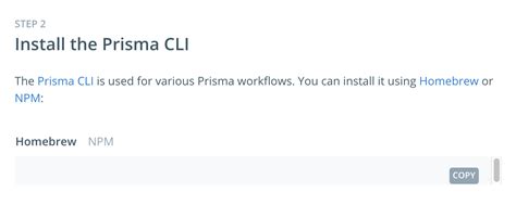 Setup Prisma Page Key Instructions For Setup Are Blank Missing Issue Prisma Prisma
