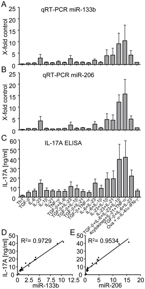 A B Spleen And Peripheral Lymph Node Cells Were Isolated From Download Scientific Diagram