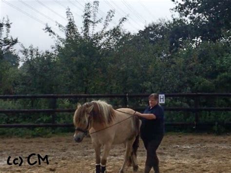 1 D9 C3708 4 Bda 4 C02 Bdf1 B7 Eb6 D683 F4 D Hosted At Imgbb — Imgbb