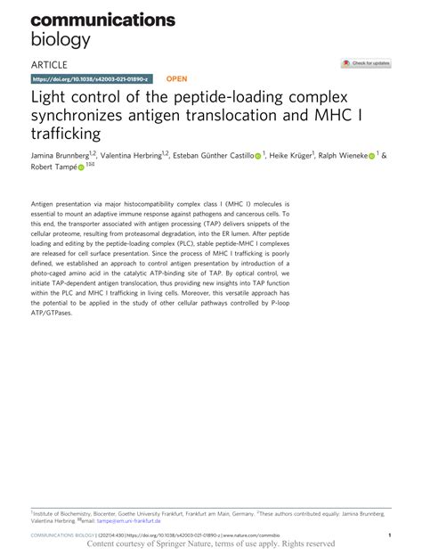 Pdf Light Control Of The Peptide Loading Complex Synchronizes Antigen Translocation And Mhc I