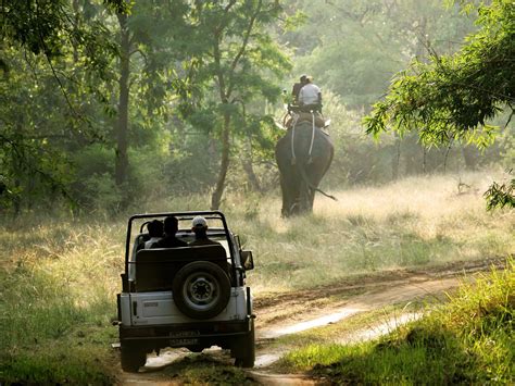 Wildlife Safari In India The Best Places