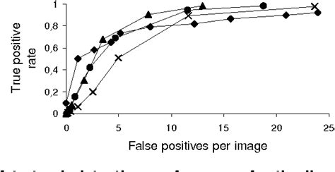 Figure From Multi Scale Detection Of Curvilinear Structures With High Contour Accuracy