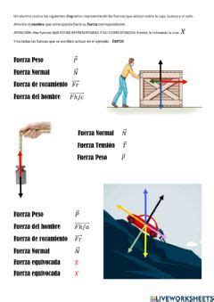 Dinámica Interactive Activity Force Diagram Examples How To