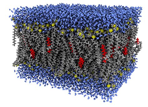 Neuer Supercomputer Am Paderborn Center For Parallel Computing