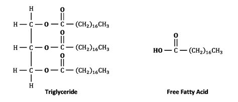 Ethanol and Biodiesel Production | Elucidate Education