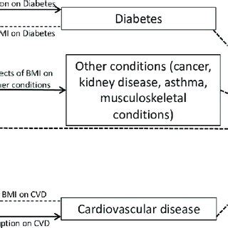 Model Causal Framework And Main Outcomes Download Scientific Diagram
