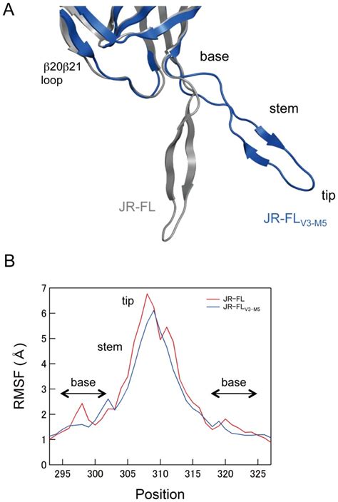 A Superimposition Of Averaged Structures Obtained From 40000