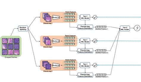 [paper review] dtfd mil double tier feature distillation multiple