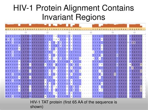 ppt modeling virus host interaction networks powerpoint presentation