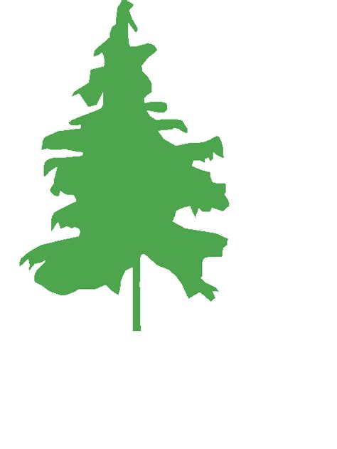 Urban Street Tree Dataset Ninja