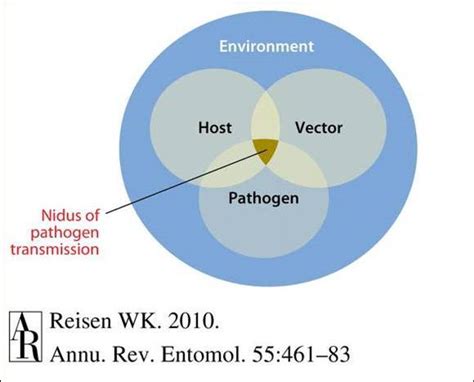 Vector Pathogen At Collection Of Vector Pathogen Free