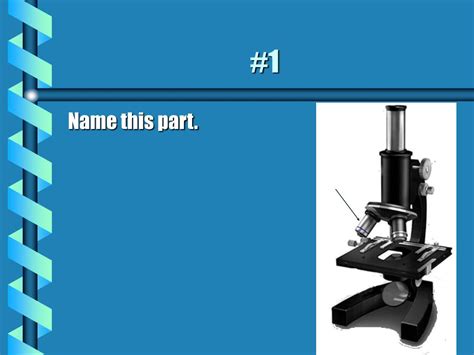 PPT The Microscope PowerPoint Presentation Free Download ID