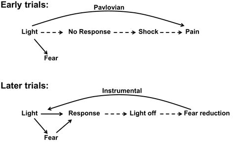 Avoidance Learning Comparative Psychology Evolution And Development Of Brain And Behavior