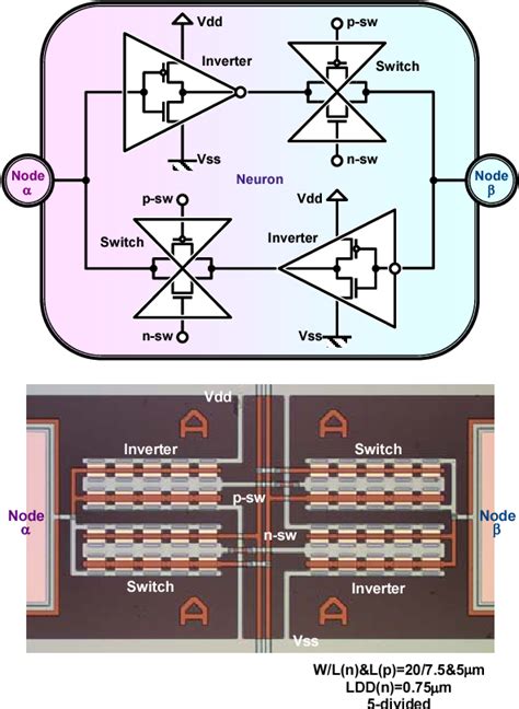 Figure 1 From Artificial Neural Network Using Thin Film Transistors