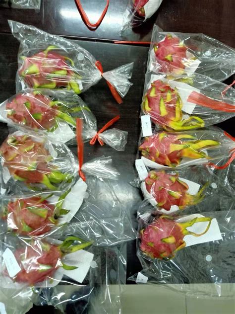 Logfresh Usa On Linkedin Logfresh 1 Mcp Have A Big Successes In Vietnam Every Year We Help 8 000…