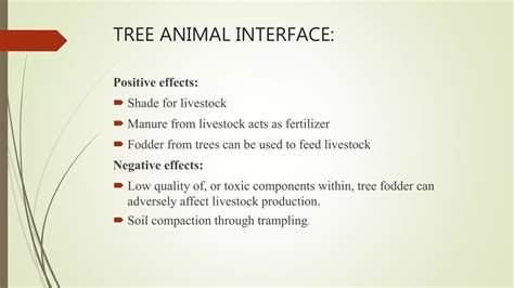Tree Crop Interaction Under Agroforestry Pptx