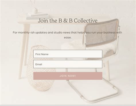 how to customize the font on your mailerlite embed form — birch and bud