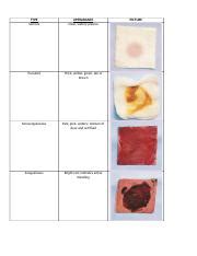 Types Of Wound Drainage