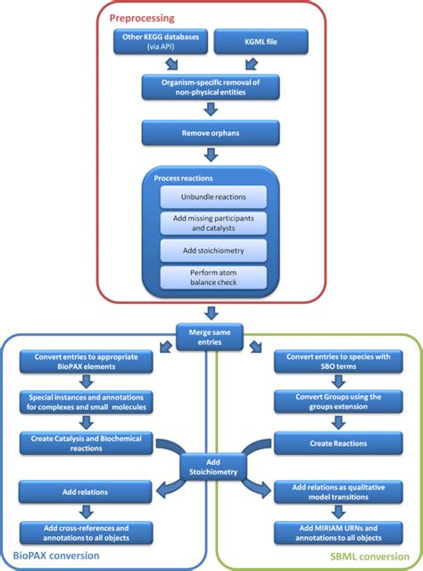 Generation Of Systems Biology Models From Kegg Pathways The Flowchart Download Scientific